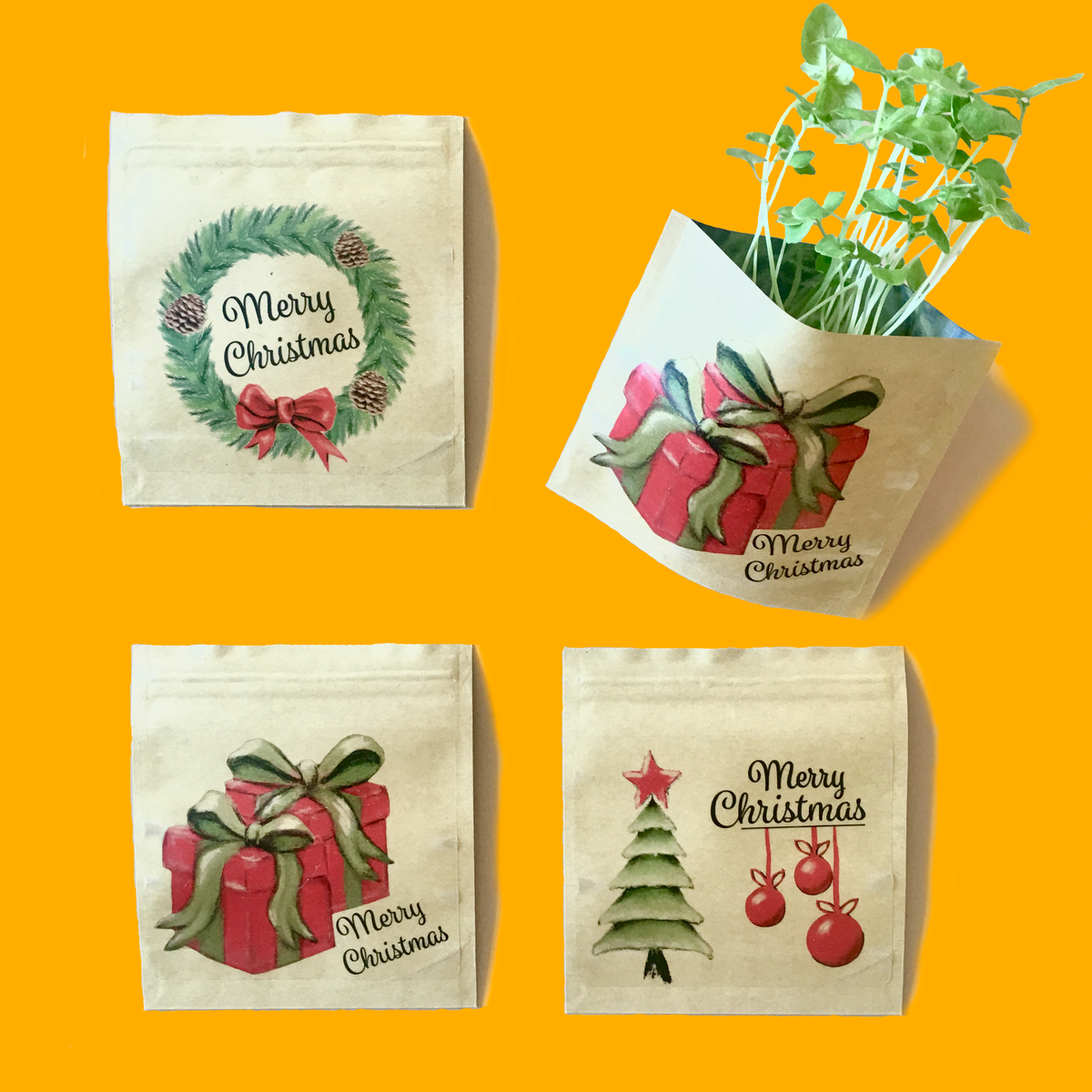 Kris Kringle Bundle Pack - Herb Growing Kit in a Bag – Sow Grow Eat